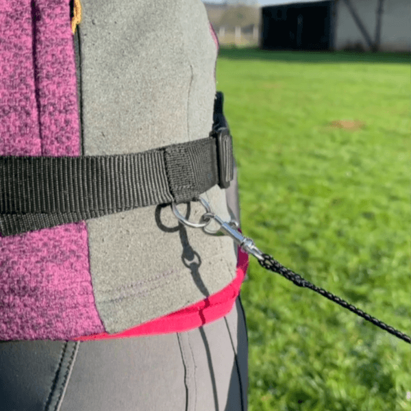 Heeling Leash English – Online Dog Training by Tobias Oleynik
